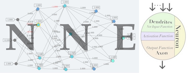 Lance Dooley ~ Portfolio